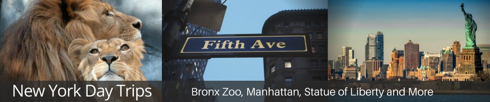 fox bus charter new york day trips - Fox Tours & Silver Fox Motor Coaches